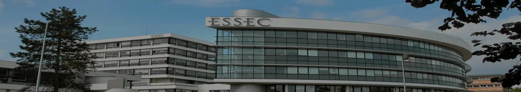 ESSEC Business School: Courses, Fees, Rankings, Scholarships